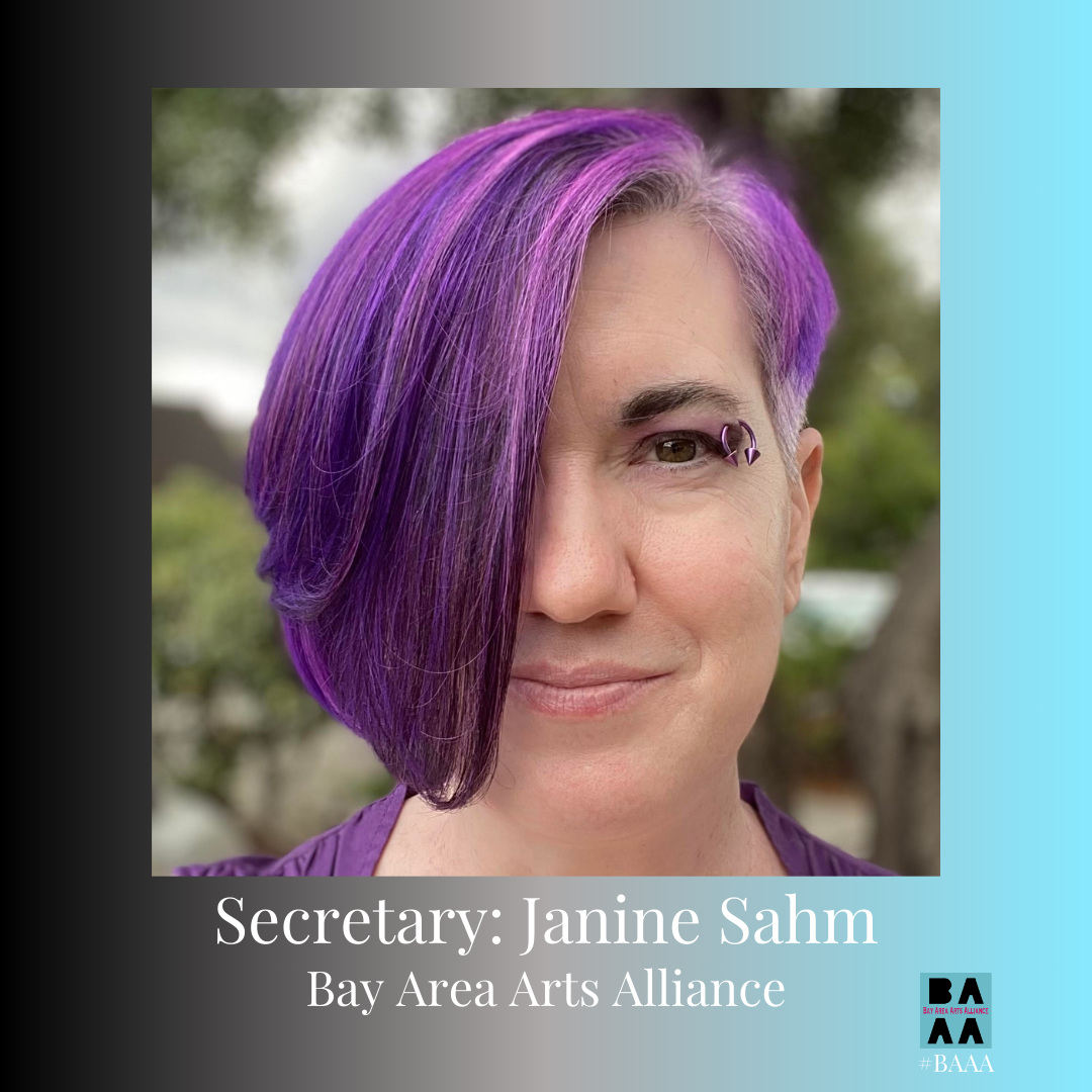 About Us – Bay Area Arts Alliance