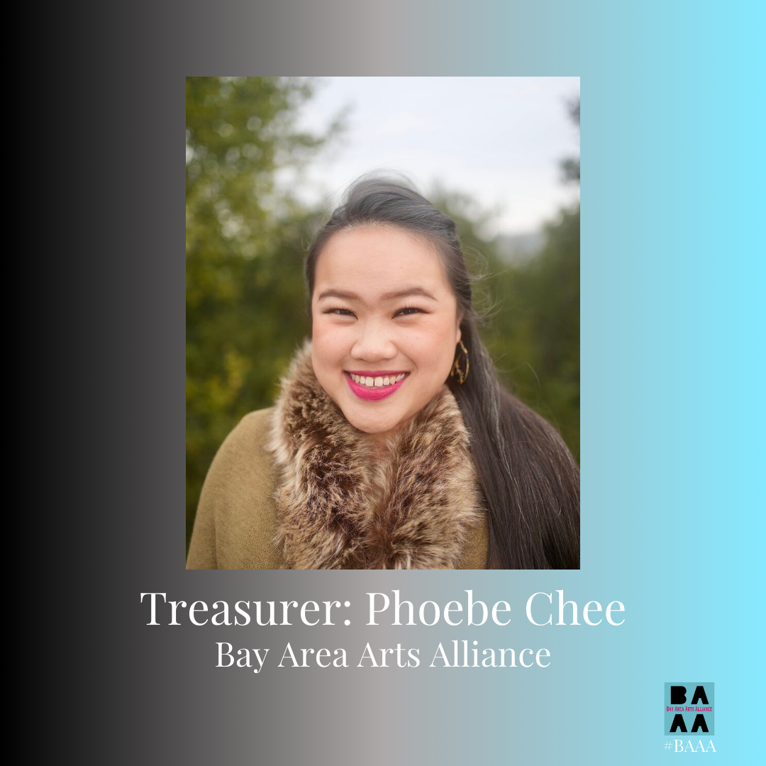 About Us – Bay Area Arts Alliance